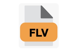 Splitting FLV Files - Tutorial Solveig Multimedia